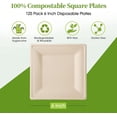 20-Pack 24cm Square Disposable Paper Plates, Non-Stick Water-Resistant ...