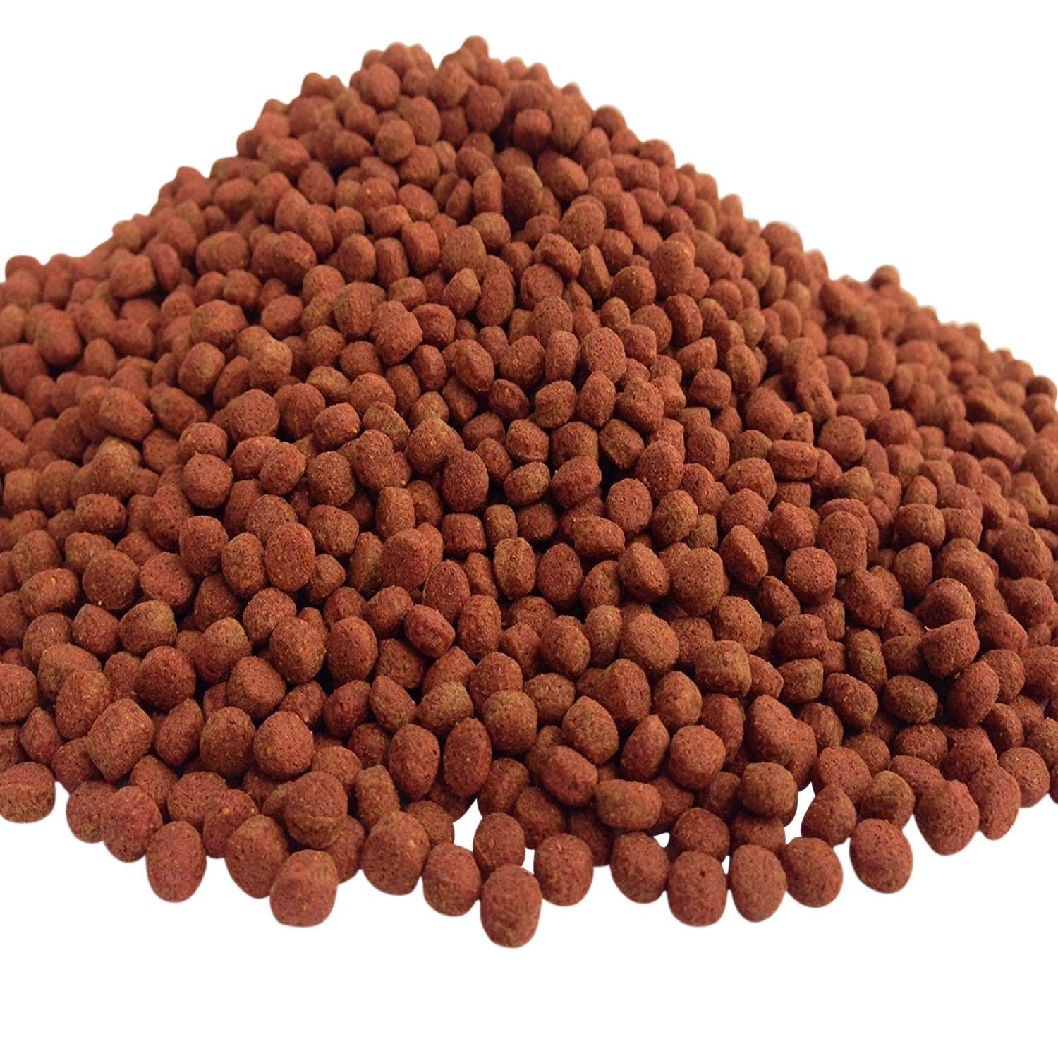Aquatic Foods Color Red Enhancing 1/4" Floating Pellets Koi, Pond Fish ...