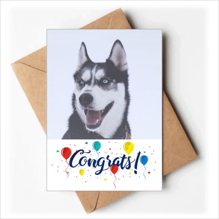 Big Dog Snow Husky Picture Wedding Cards Congratulations Greeting ...