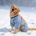 Insulated Dog Winter Coat Warm Jacket Vest With Back Zipper For Small ...
