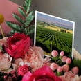 3drose, Yakima Valley, Vineyards, Horse Heaven Hills - Us48 Jwi1984 ...