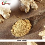 NY SPICE SHOP Ginger Powder - 08 Ounce - Ground Ginger Root Powder ...