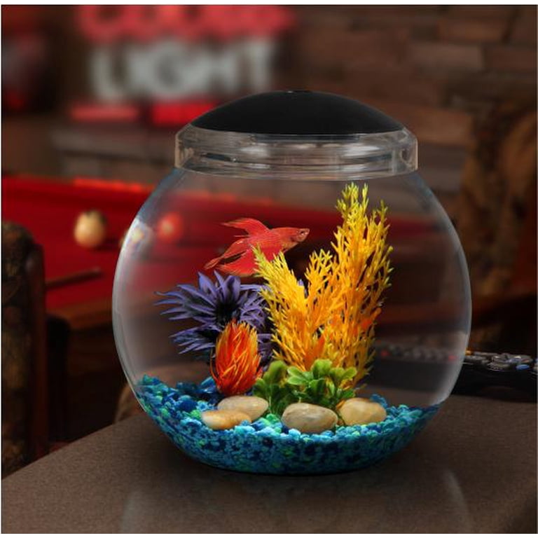 1 Gallon Fish Tank