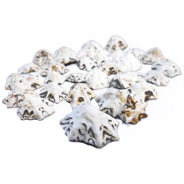 2 oz (100+) Natural White Gar Scales 1/2"-1 1/2" Taxidermy Crafts Fish ...