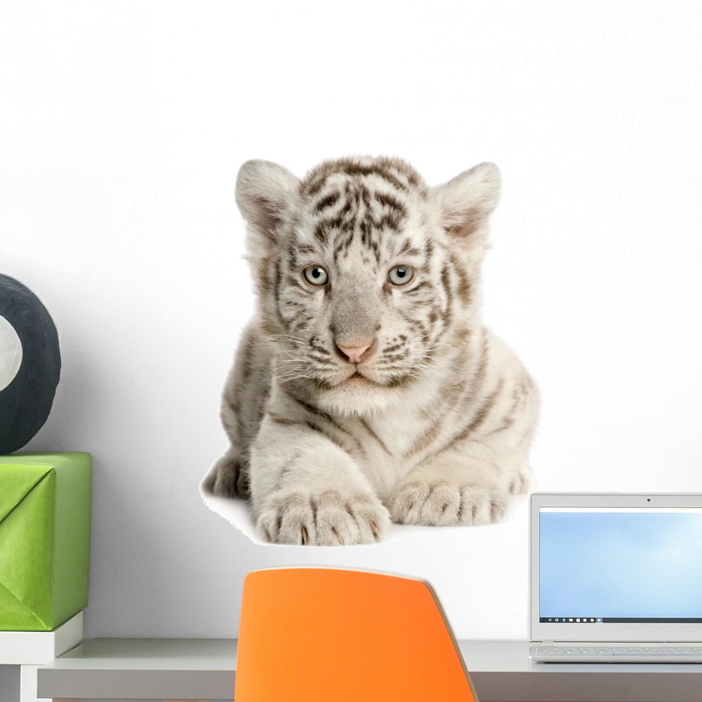 White Tiger Cub 2 Wall Decal by Wallmonkeys Peel and Stick Graphic (18 ...