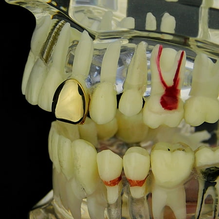 Best Grillz - 14k Gold Plated Single Cap Grillz One K9 Tooth Plain ...