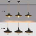 3-Light Plug in Pendant Light Fixtures Chandelier with Switch 22FT ...