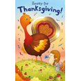 Hooray for Thanksgiving (Board Book) - Walmart.com