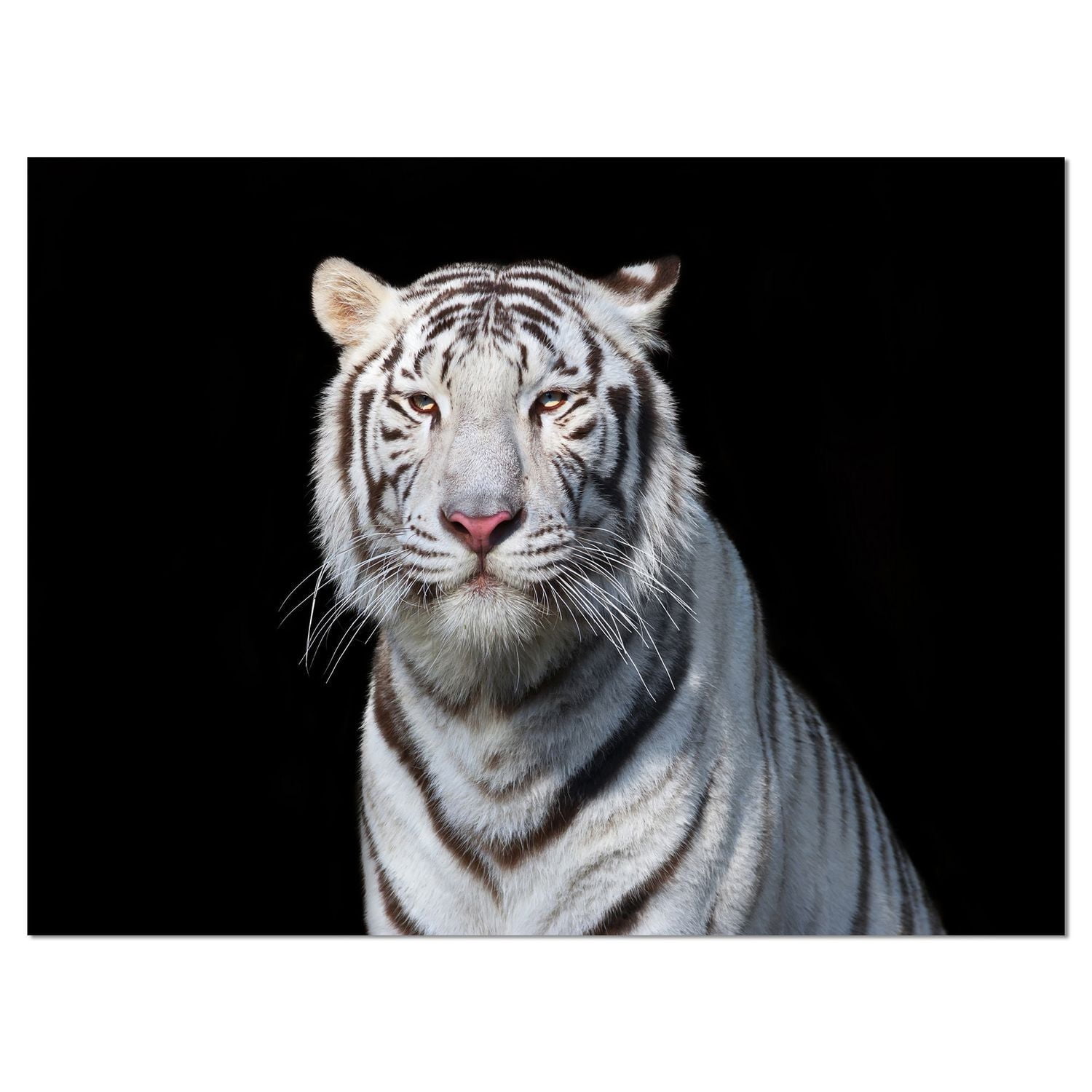 Click here for Designart Design Art Stunning White Bengal Tiger C... prices
