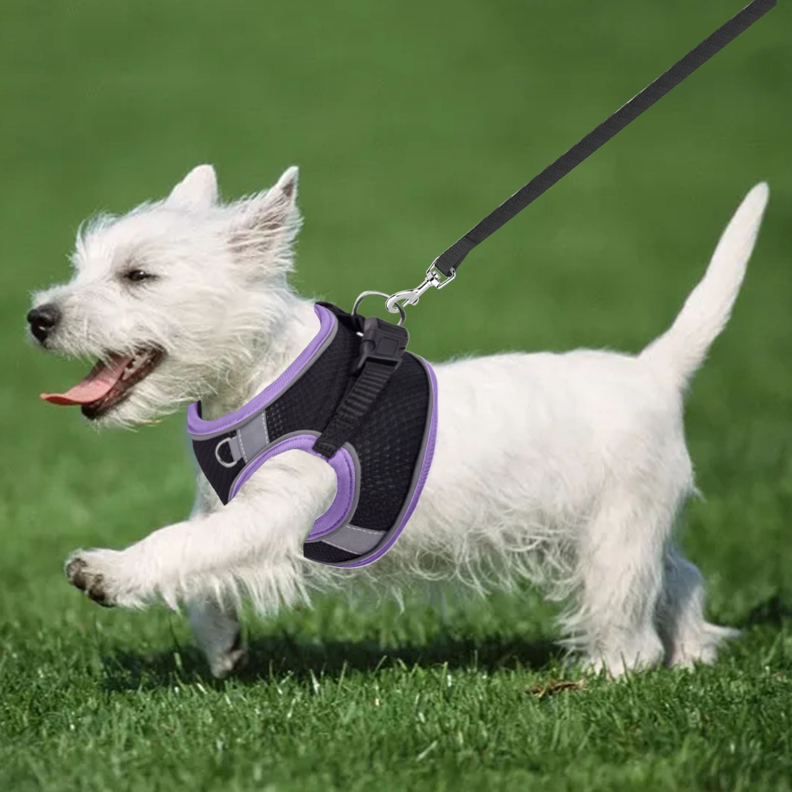 Click here for Riforla 1 Pcs Dog Harness For Small Medium Large D... prices