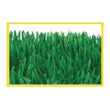 Beistle Spring Paper Set: Green Grass Tissue Mats, 15in x 30in, 2pk ...