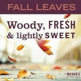 Clean Day Multi-Surface Everyday Cleaner Fall Leaves Scent, Plant ...