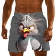Daiosportswear Men's Lightweight Humorous Print Swim Shorts for Beach ...
