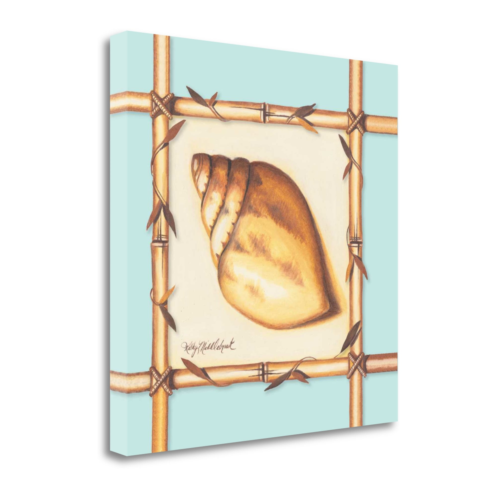Tangletown Art, 20 x 20 "Bamboo Seashell I " by Kathy Middlebrook ...