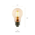 Better Homes & Gardens A19 Vintage LED Amber Light Bulb 40W Eqv ...