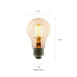Better Homes & Gardens A19 Vintage LED Amber Light Bulb 40W Eqv ...