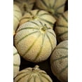 Vegetable Seeds- Hearts of Gold Cantaloupe -20 seeds- Early melon ...