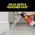 Raid Ant and Roach Killer Spray, Residual Insecticide, 17.5 oz, 2 Count ...