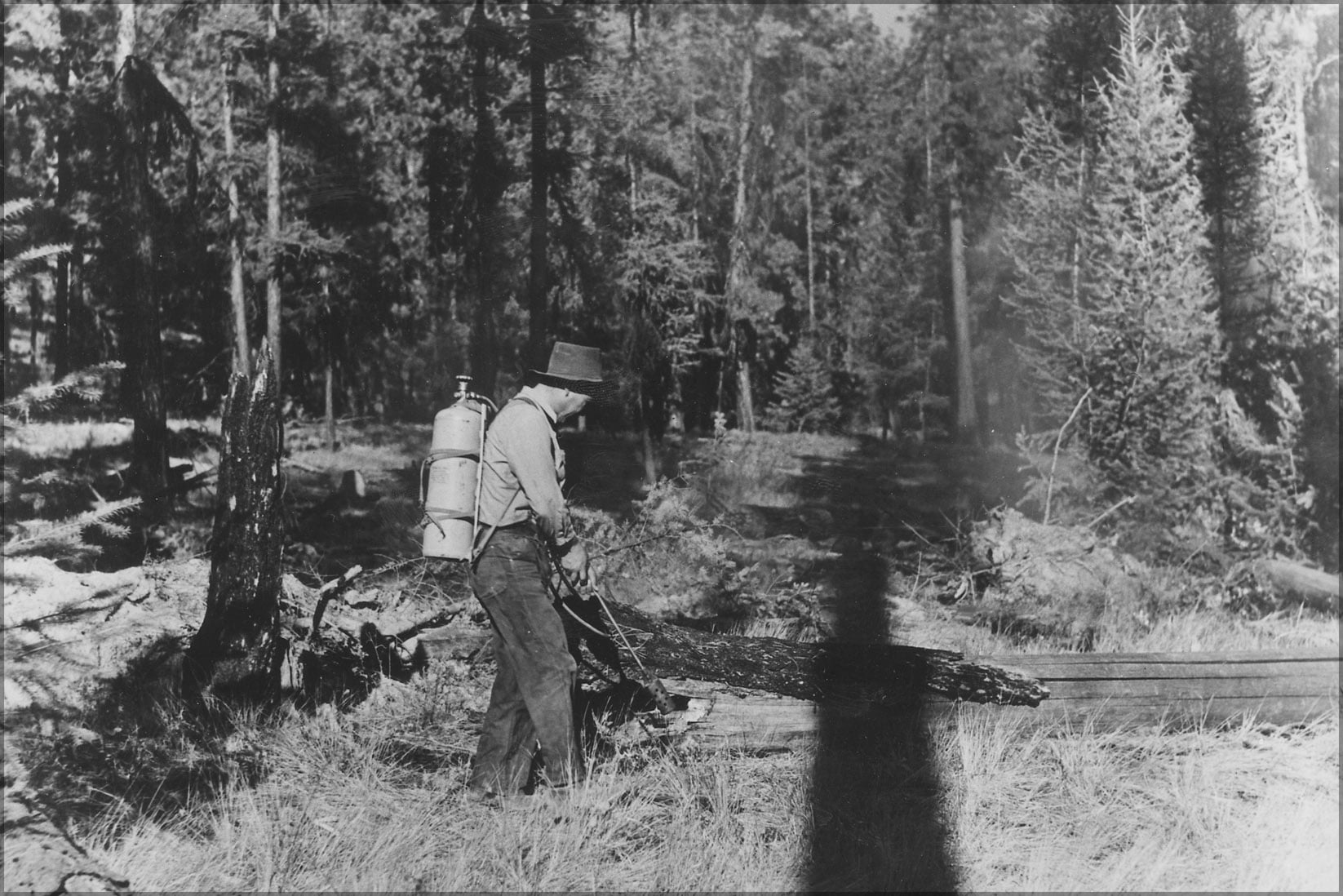24"x36" Gallery Poster, Forest Guard Mathew Dick using propane gas ...