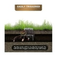 Mole Trap (pack Of 3) Powerful Trap To Catch Moles Protect Your Lawn ...