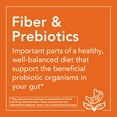 NOW Supplements, Fibre Gut Health Pills - Psyllium Husk & Apple Pectin ...