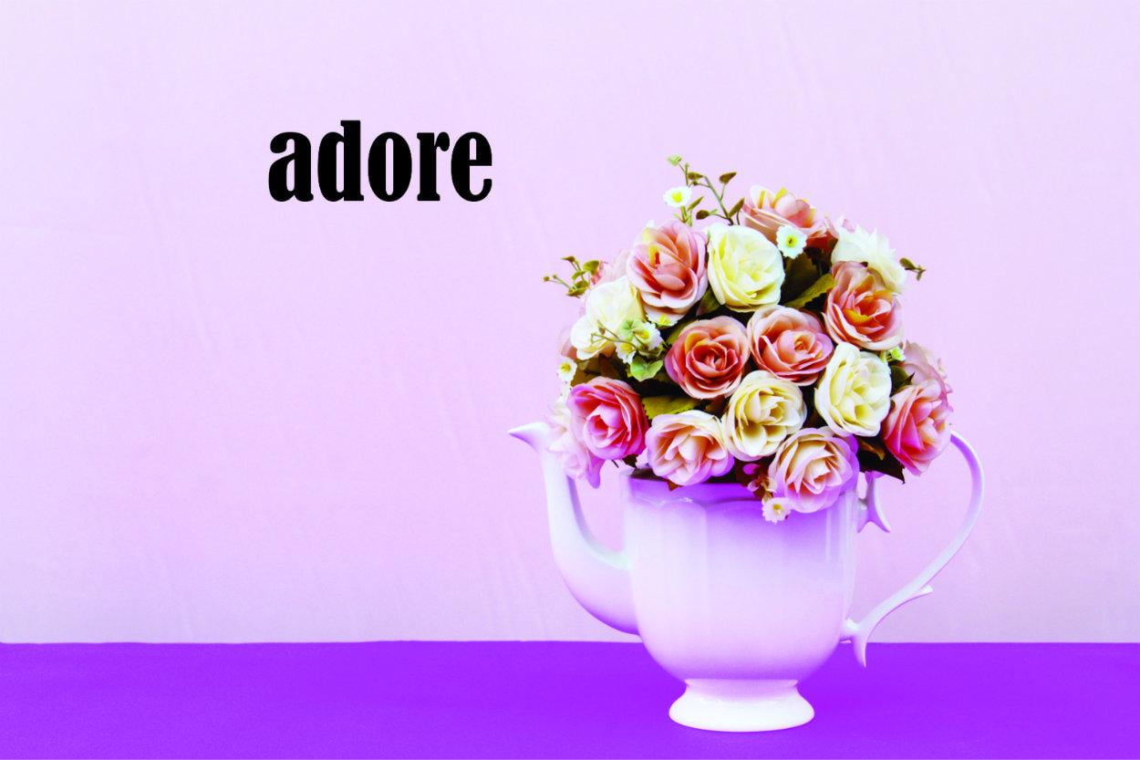 Wall Design Pieces Adore Text Lettering Quote 10 X20" - Walmart.com