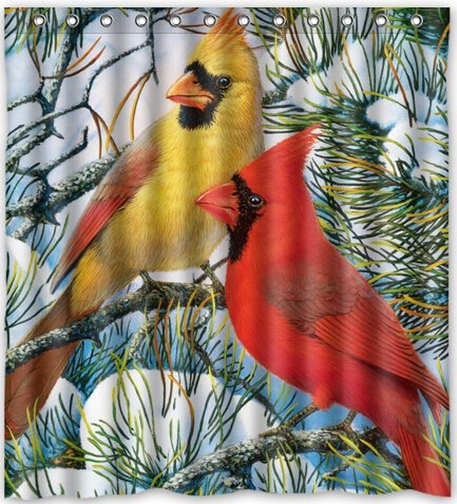 GreenDecor Funny Cardinals Birds Waterproof Shower Curtain Set with ...