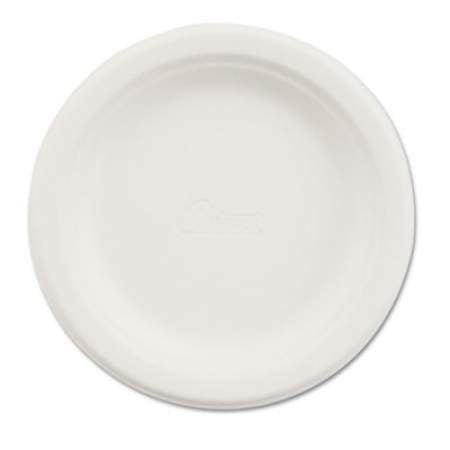 Chinet Plates