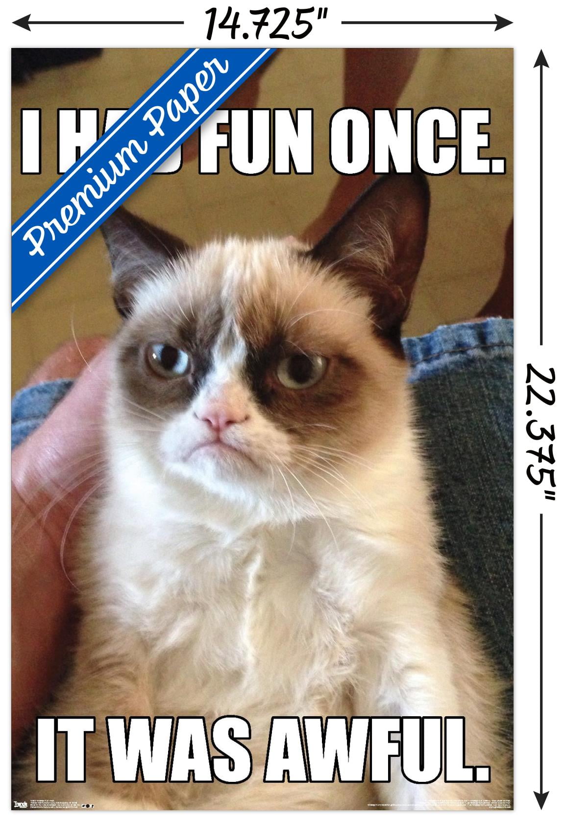 Grumpy Cat Crappy Birthday
