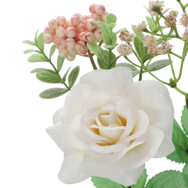 Cream Roses Background