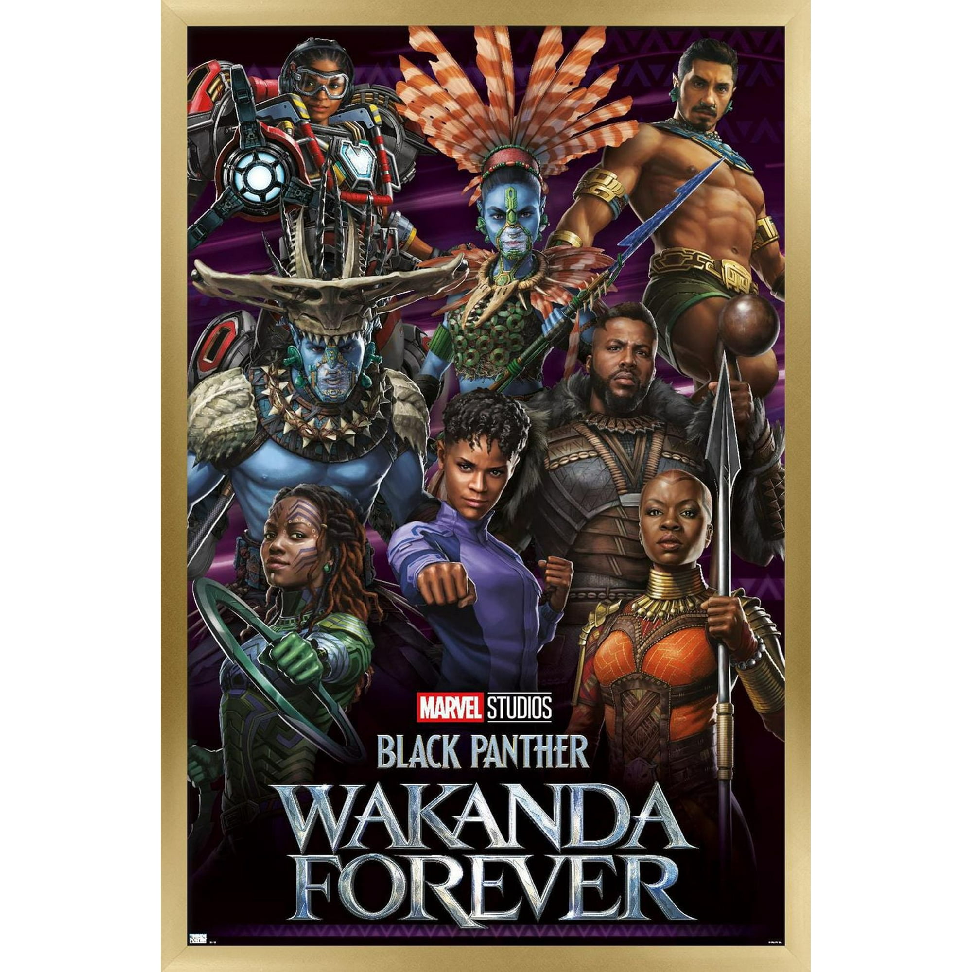Click here for Trends International Marvel Black Panther: Wakanda... prices