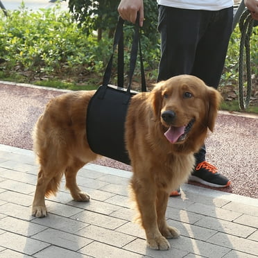 PetSafe CareLift Support Harness, Full Body Lifting Aid with Handle ...