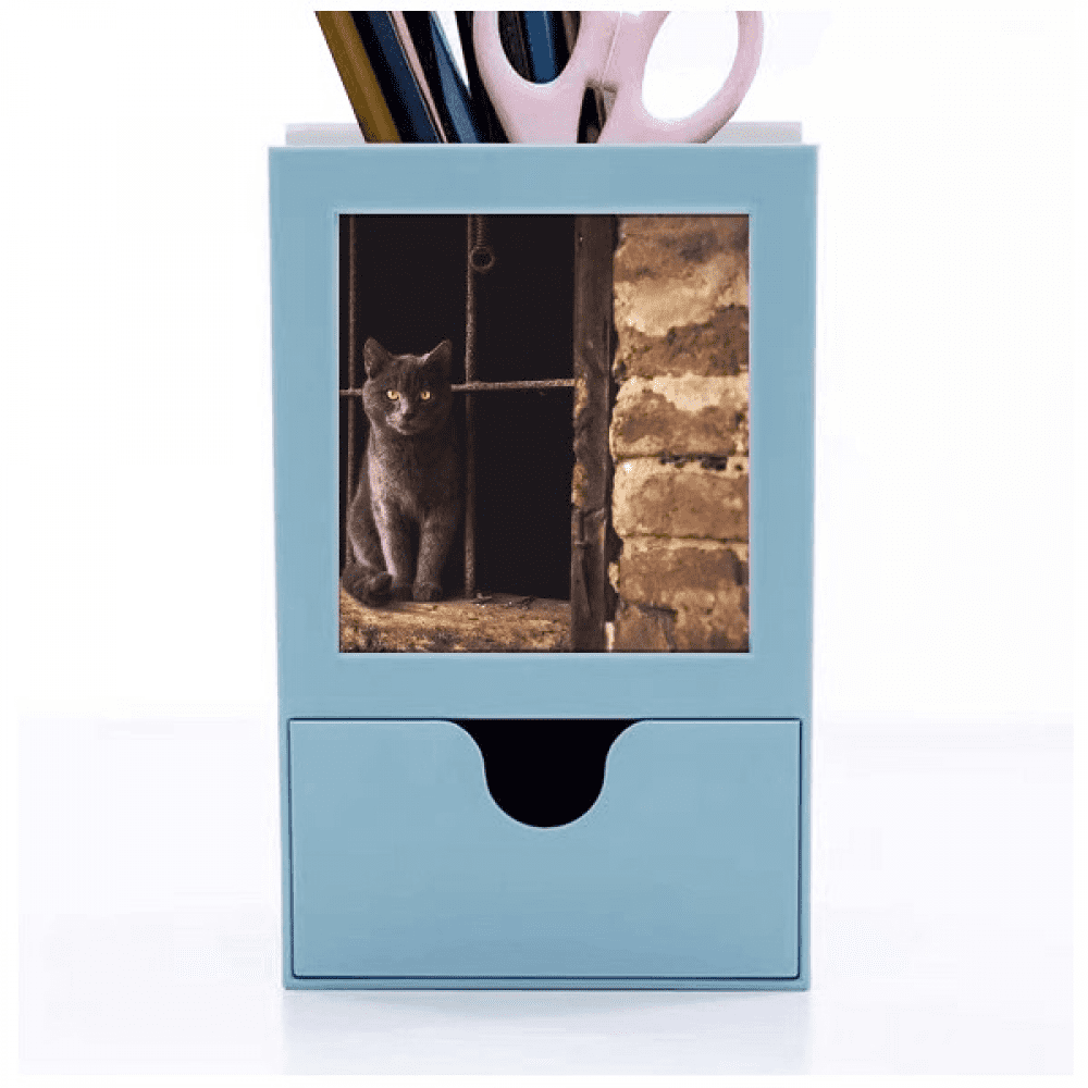 Animal Corner Cat Photograph Picture Desk Supplies Organizer Pen Holder ...