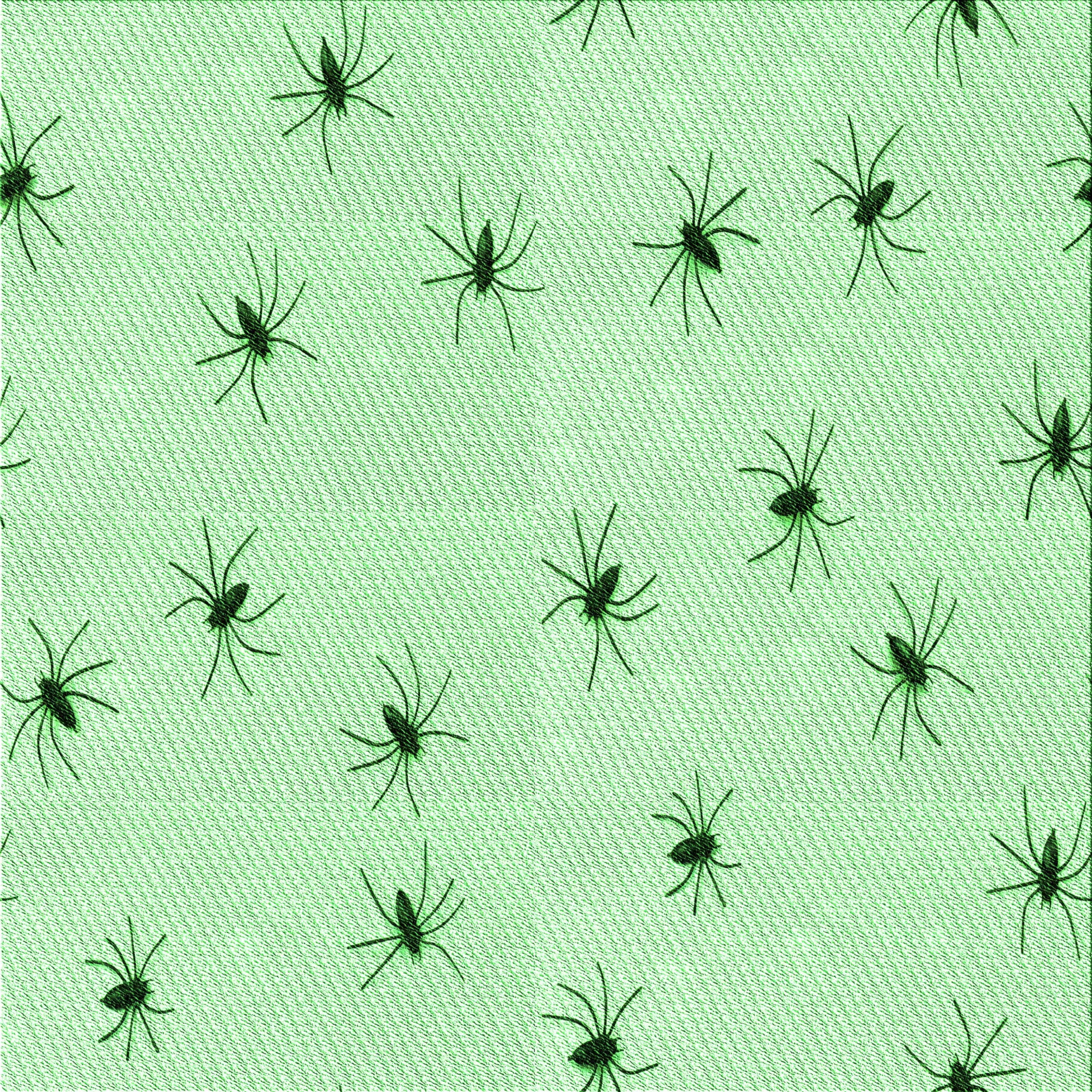 Ahgly Company Indoor Square Patterned Mint Green Area Rugs, 4' Square ...