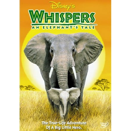 Whispers: An Elephant's Tale (DVD) - Walmart.com