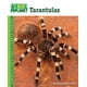 Animal Planet Pet Care Library: Tarantulas (Paperback) - Walmart.com