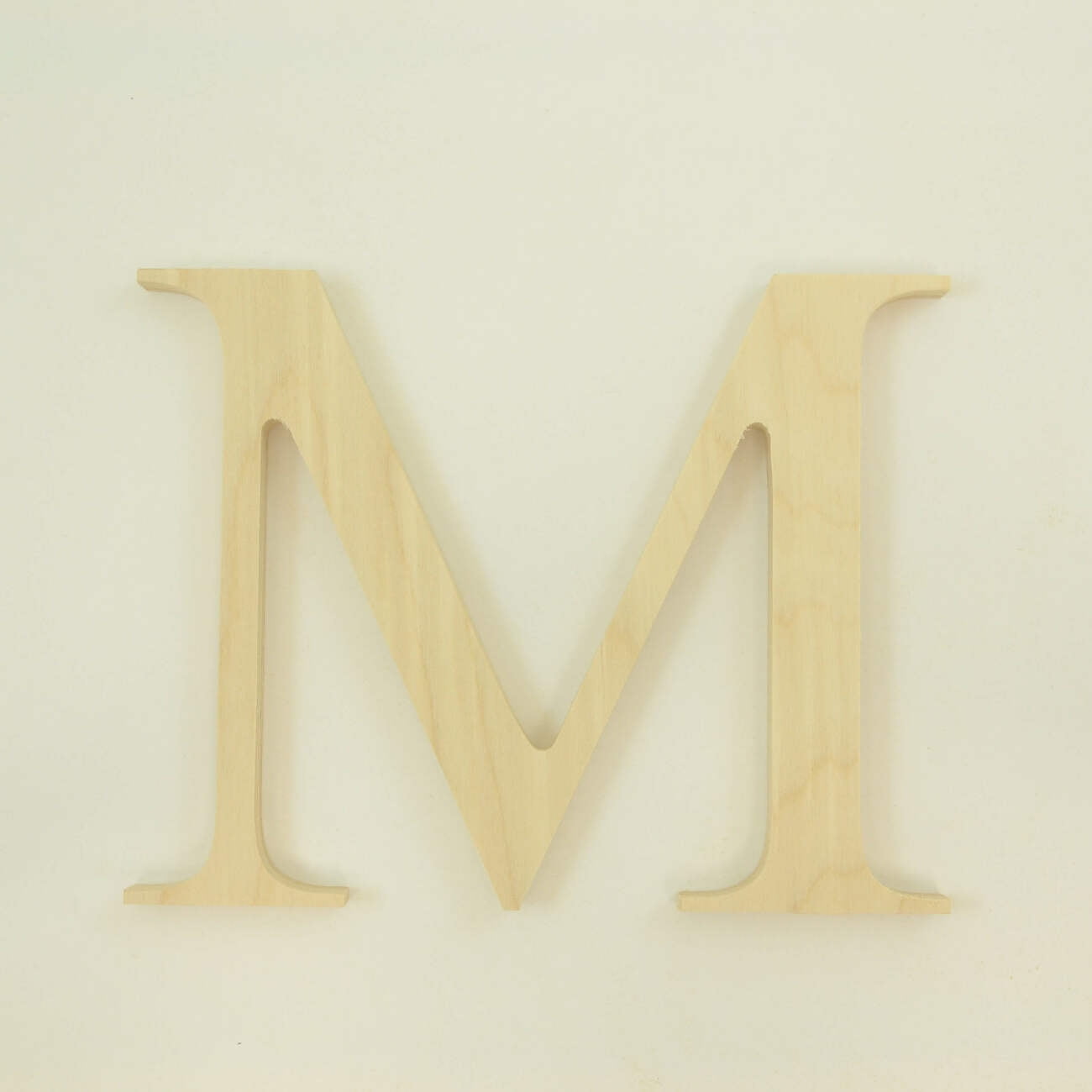 Times New Roman Font 12