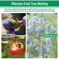 8.2 x 6.6 ft Fruit Tree Netting with Zipper and Drawstring for Garden ...