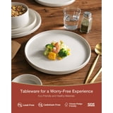 Famiware Star Stoneware Dinnerware Sets, 12 Piece for 4 - Walmart.com