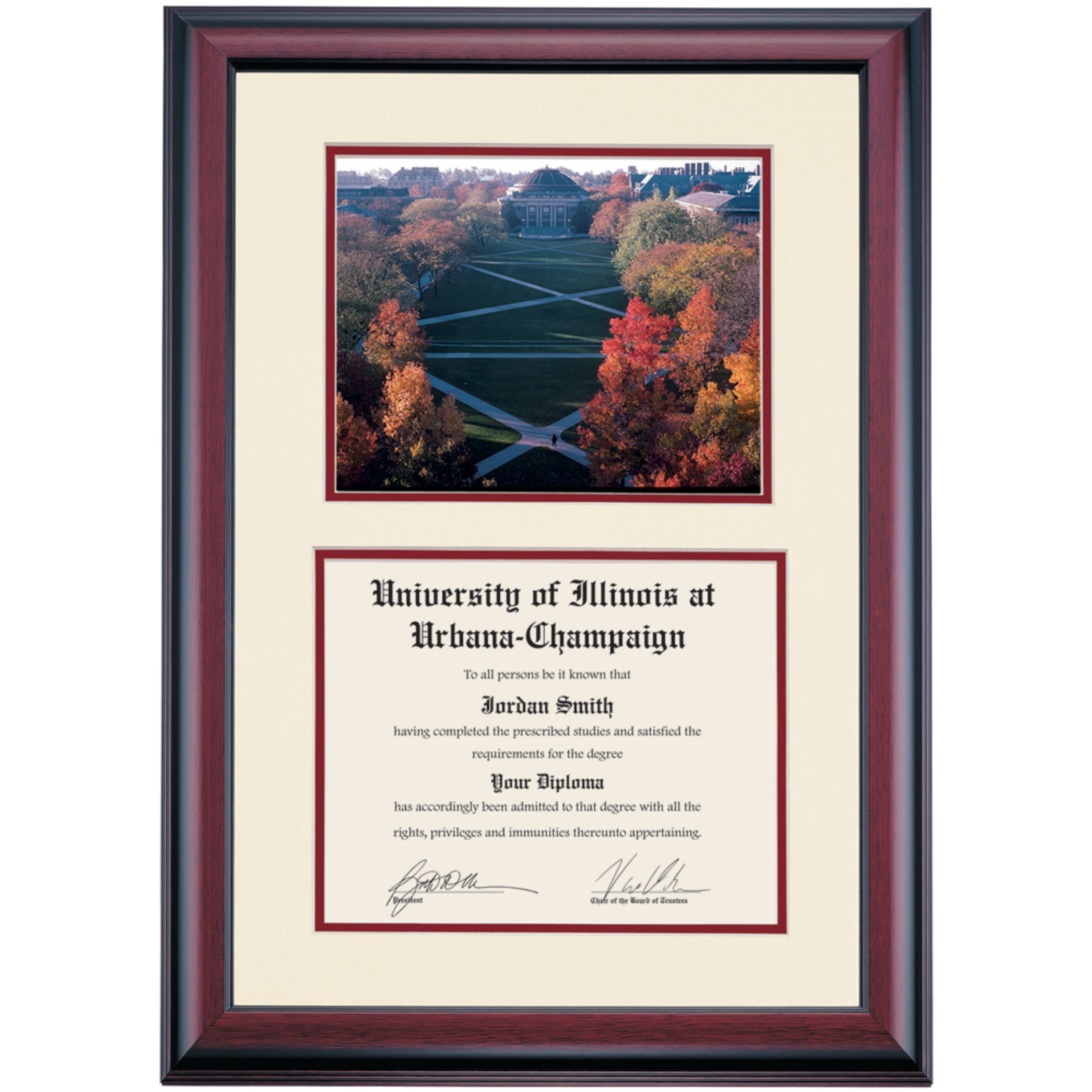 OCM Diploma Frame for University of Illinois at Urbana-Champaign UIUC ...
