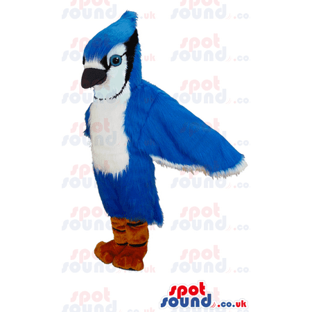 Customizable Blue Bird SPOTSOUND Mascot With Long Wings And Black Beak ...