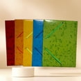 A 4 File Folder with Elastic File Organiser Document Storage Bag ...