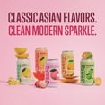 Sanzo Flavored Sparkling Water Variety Pack, Lychee, Calamansi, Yuzu ...