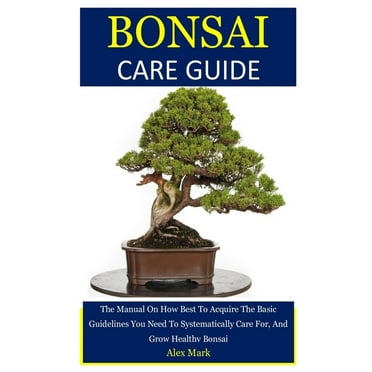 Bonsai for Beginners: The Essential Guide to Learn How To Grow and Take ...