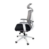 DVG Autonomous ErgoChair - Premium Ergonomic Office Chair - Black ...