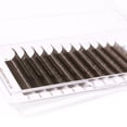 Veyes Inc 0.05mm Latte Brown Eyelash Extensions Veyelash 8-16MM ...