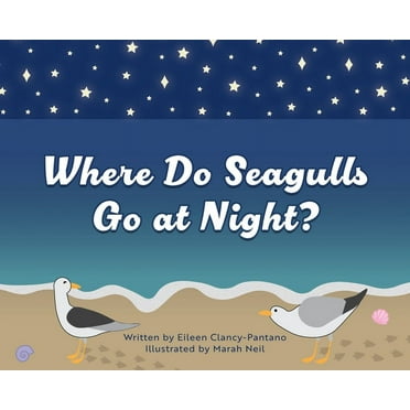 Owl Diaries: Eva at the Beach: A Branches Book (Owl Diaries #14 ...