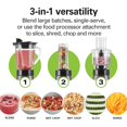 Blender and Food Processor Combo for Shakes & Smoothies, With 3 Cup ...