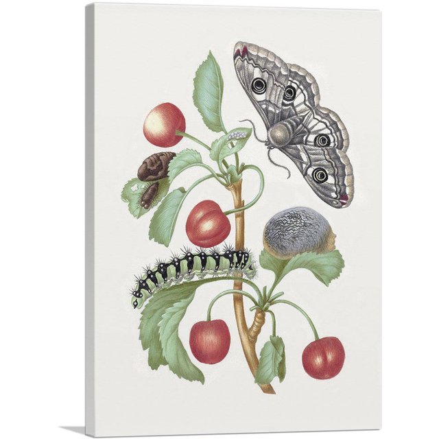 ARTCANVAS Metamorphosis Of a Caterpillar To a Butterfly Canvas Art ...