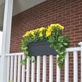 DCN Plastic Harmony Indoor/Outdoor Self Watering Deck Rail Planter ...